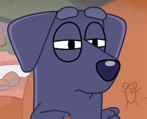 Completely Random Question What Careers Do You Think Bluey And Her