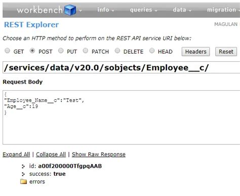 Working With Records Using Rest Api Salesforce Infallibletechie
