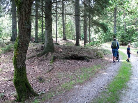 2025年12月ulfborg旅游景点攻略 Ulfborg旅游住宿 Ulfborg旅游美食 猫途鹰