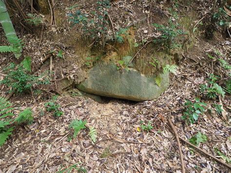 赤坂天王山2号墳 大和の古墳探索