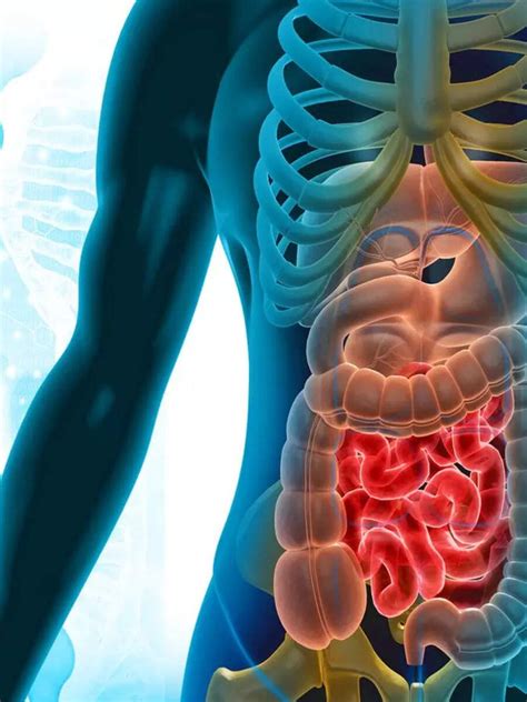 आंतों को बनाती है स्वस्थ और मजबूत Navbharat Times