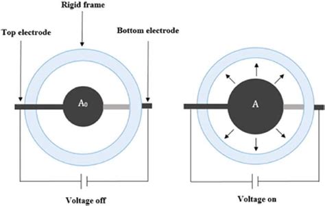 Schematic Setup For Actuation Strain Measurement Download Scientific