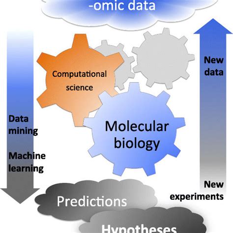 Feedback Loop Between Experimental And Computational Stages Of Research
