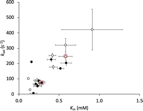 Relationship Between Catalytic Turnover Rate Kcat And Download