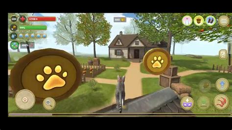 Симулятор кота и кошки Выполняем 3 квеста охотится на босса Youtube