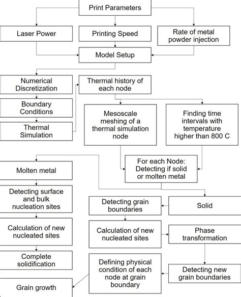 The Computational Algorithm Of The Multiscale And Multiphysics