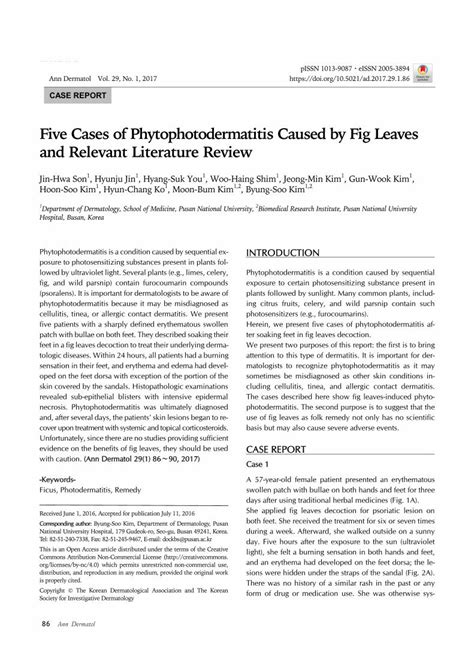 Pdf Five Cases Of Phytophotodermatitis Caused By Fig Leaves