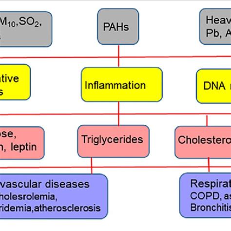 Multi Pollutant Approach To Biomarkers And Cvd Outcomes Download