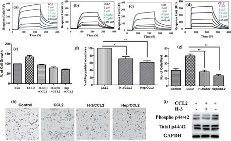 Spr Analysis Of Chemokines Binding Profile On Sensor Chip Having Ht Download Scientific Diagram