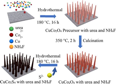 Schematic Illustration Of The Synthesis Of Cuco2o4nf Nanowires With