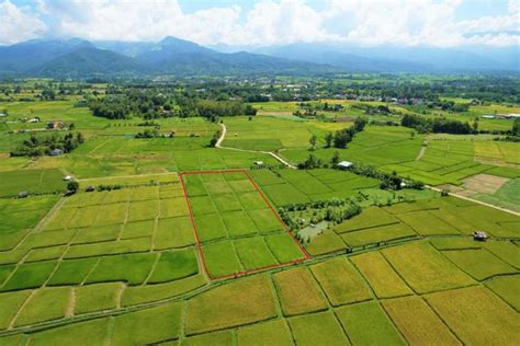 ที่นา แปลงสวย วิวดอยภูคา อ ปัว จ น่าน ที่ดินร้อยแปด คอม