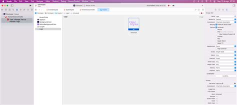 Projeto Type Uiimage Has No Member Logo Ios Com Uikit