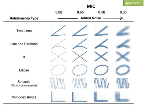 Ppt Detecting Novel Associations In Large Data Sets Powerpoint