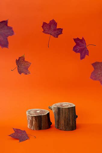 밝은 주황색 배경에 빈 나무 연단과 빨간색 단풍 나무 잎 화장품 광고 추수 감사절 가을 모형 정물 조성 전면 보기 0명에 대한 스톡 사진 및 기타 이미지 Istock