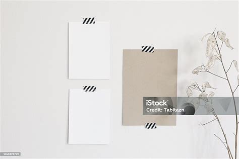 중립 무드 보드 흰 벽에 테이프로 붙인 빈 종이 인사말 카드 모형 세트 줄무늬 와시 테이프와 마른 루나리아 정직 식물 예술적 디스플레이 최소한의 정물 베이지 색 무드보드에