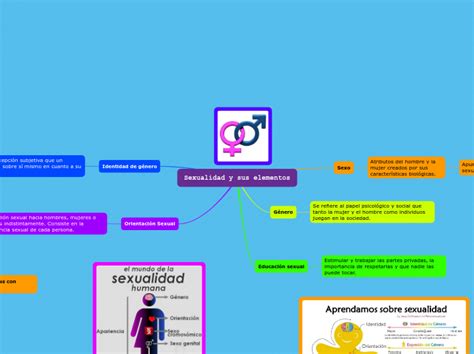 Sexualidad Y Sus Elementos Mind Map