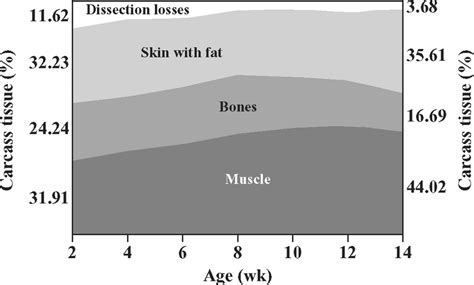 Percentages Of Carcass Tissue Components Combined And And Download Scientific Diagram