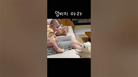 덤비지 마라 Youtube