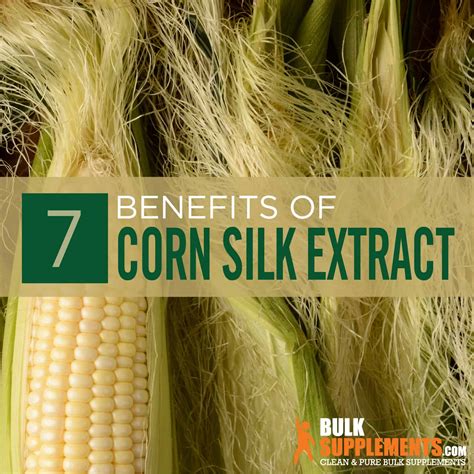 Corn Silk Extract Benefits Side Effects And Dosage