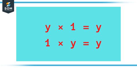 Multiplicative Identity Definition And Meaning