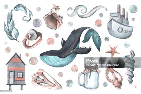 고래 증기선 어부의 집 다양한 조개와 거품 수채화 그림입니다 Whales 컬렉션의 세트 스티커 인쇄물 포스터 엽서의 장식 및 디자인 0명에 대한 스톡 벡터 아트 및 기타