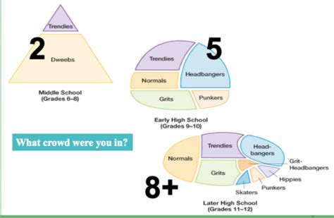 HDFS 3700E Flashcards Quizlet HDFS 3700E Flashcards Quizlet