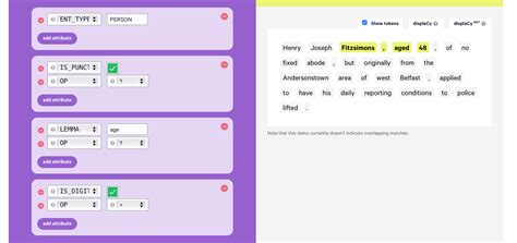 Prodigy Patterns Not Behaving Like Spacy Patterns Usage Prodigy Support