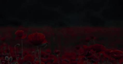 Cian Mitchell Posted On Linkedin