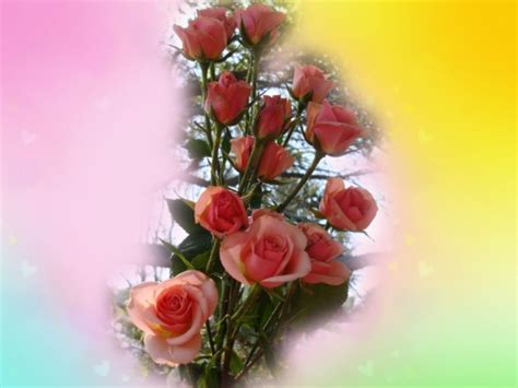 Първа Пролет Картички с Цветя Честита Първа Пролет