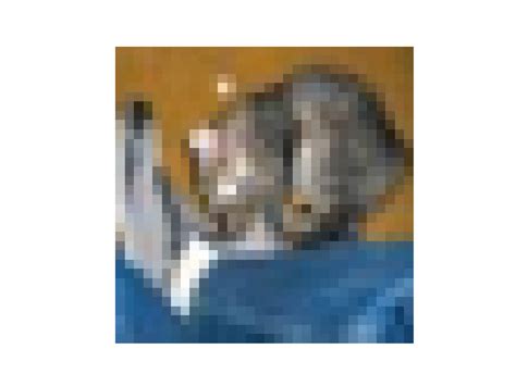 A Visual Tour To Empirical Neural Network Robustness