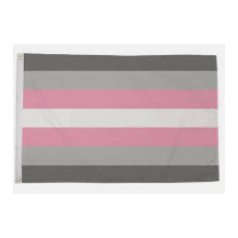 Demigirl Pride Flag Queer Collective