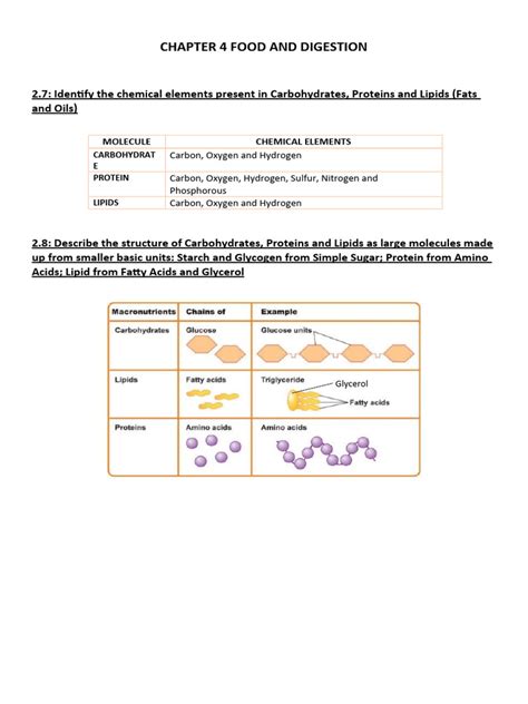 Chapter 4 Notes Igcse Edexcel Biology Pdf Digestion Bile