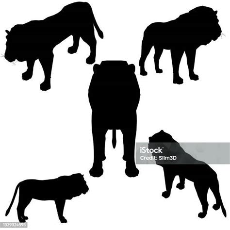 흰색 배경에 고립 된 다양한 위치에서 사자의 실루엣 벡터 일러스트레이션 개념에 대한 스톡 벡터 아트 및 기타 이미지 개념 개체 그룹 걷기 Istock