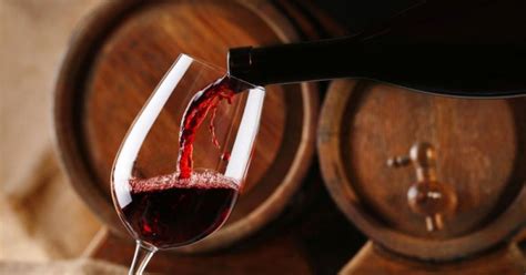 Desde 10 Reconocidas Etiquetas Hasta Diversos Estilos Una Guía Para