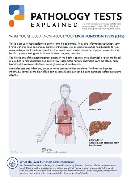 Bilirubin Pathology Tests Explained