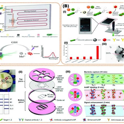 A Paper Based Microfluidics Assembly For Multiplexed Assay B