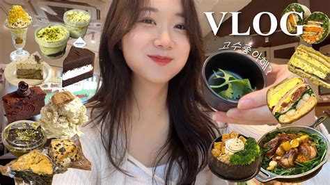 Vlog 일상 브이로그를 빙자한 먹방 브이로그 커피원 러스트베이커리 양키통닭 장미베이커리 요미조미 바이