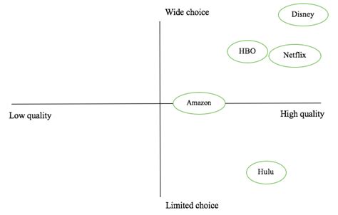 Competitive Positioning Of The Netflix Company Free Essay Example