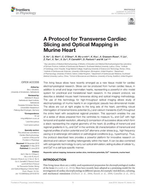 A Protocol For Transverse Cardiac Slicing And Optical Mapping In Murine Heart PROTOCOLS