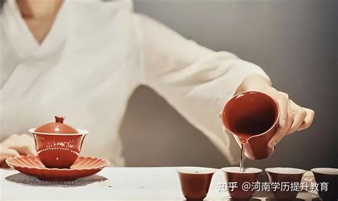 你了解茶艺师吗报考茶艺师的好处 知乎