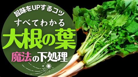 【大根の葉】のゆで方と下処理の方法！驚くほど美味しくなる！ Youtube