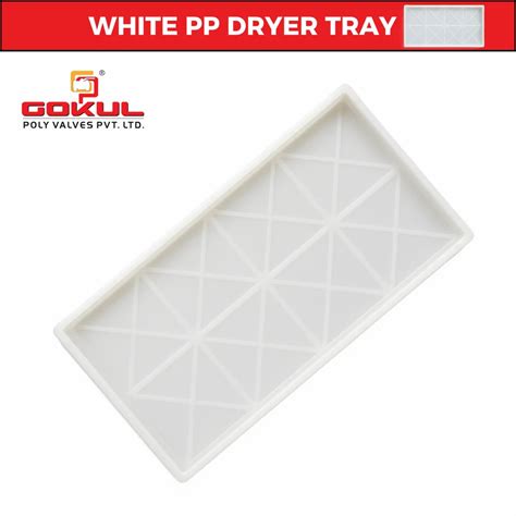 Pp Trays For Dryer Capacity 15 Kg At ₹ 300piece In Ahmedabad Id