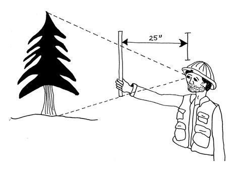 26 Instruments Used For Measuring Tree Height Forest Measurements