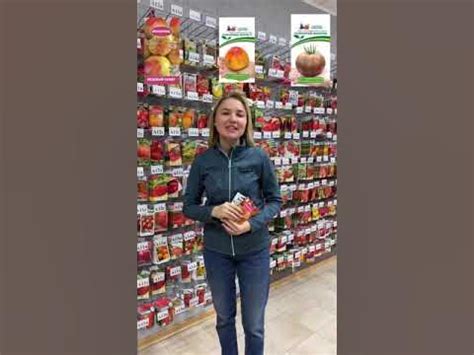 Обзор полосатых и двуцветных томатов. Новинка! Зеленый полосатый Томат ...