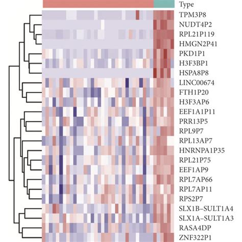 hierarchical clustering and heat map analysis of differentially