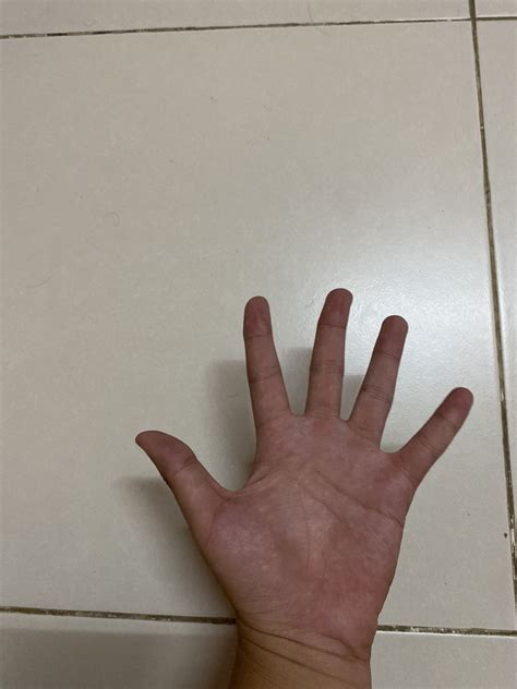 Maybaykhongnguoilai2 Object Detection Dataset And Pre Trained Model By