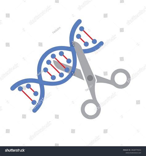 Crispr Gene Editing Tool Genetic Engineering Stock Vector Royalty Free