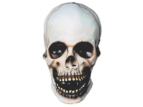 Classic Skull Mask Distortions Halloween Masks For Sale