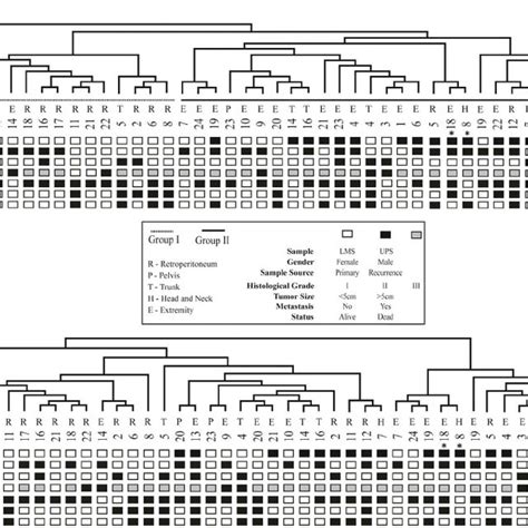 Hierarchical Clustering Of Microarray Data A Unsupervised