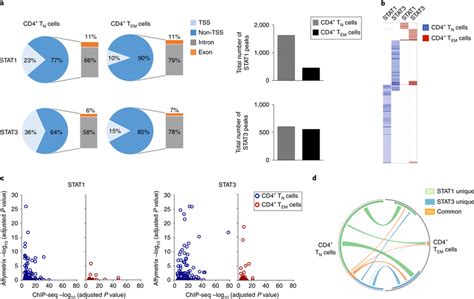 Chip Seq Analysis Of Stat1 And Stat3 Binding In Il 6stimulated Cd4⁺ T